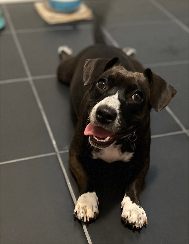 Jarred Ezra Randall | Jarred Ezra Randall